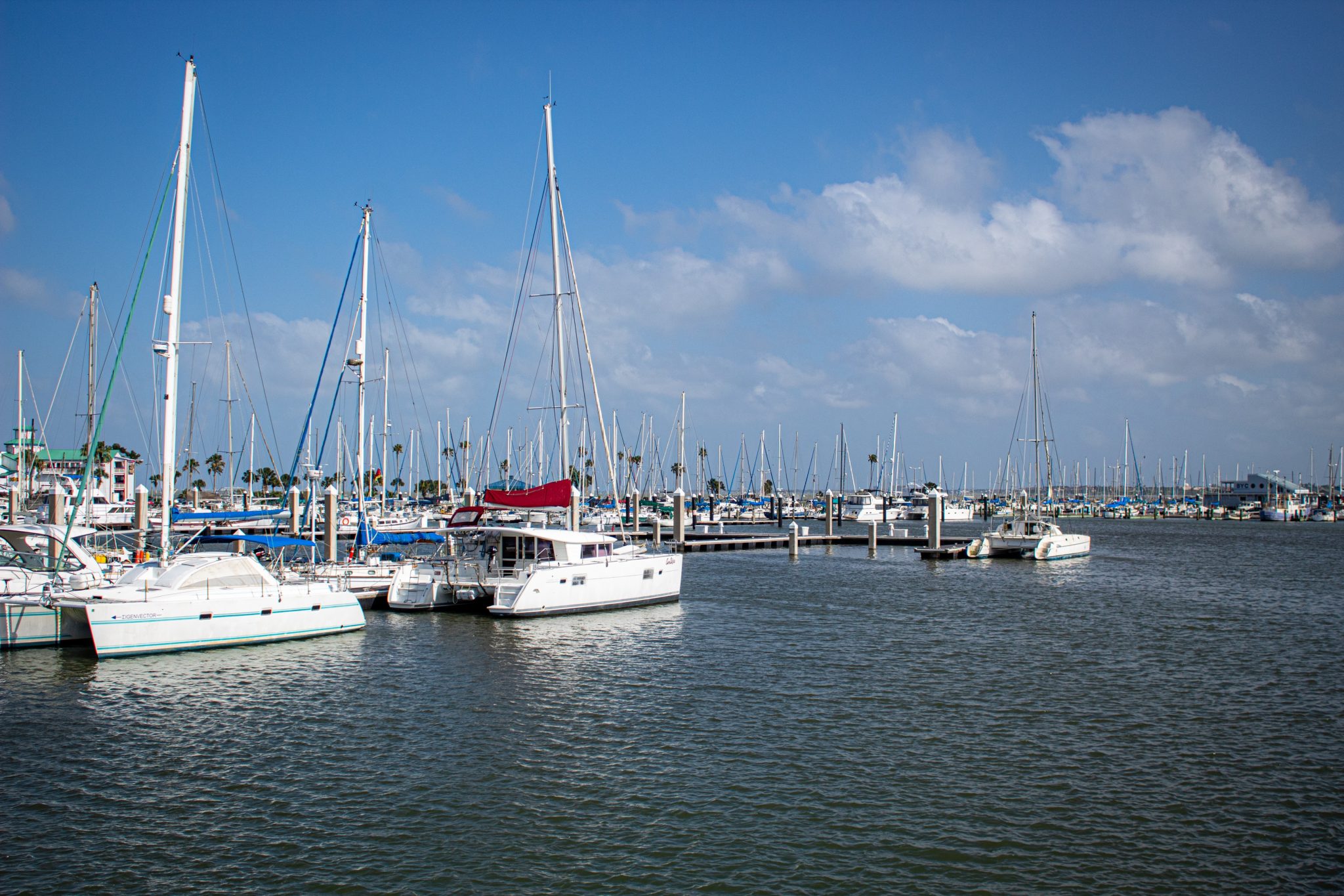 How To Pick a Small Catamaran — Everything You Need to Know