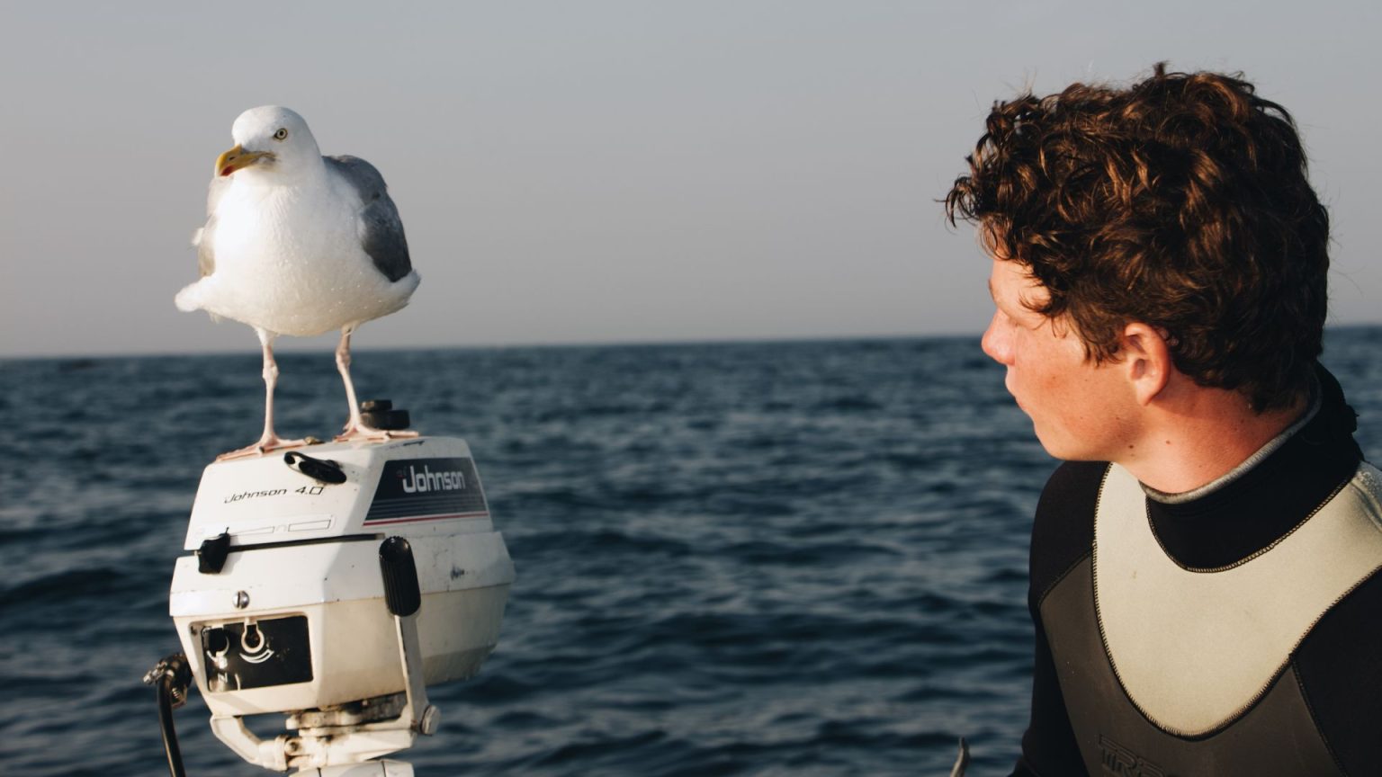 7 Common Boat Engine Problems and How to Fix Them