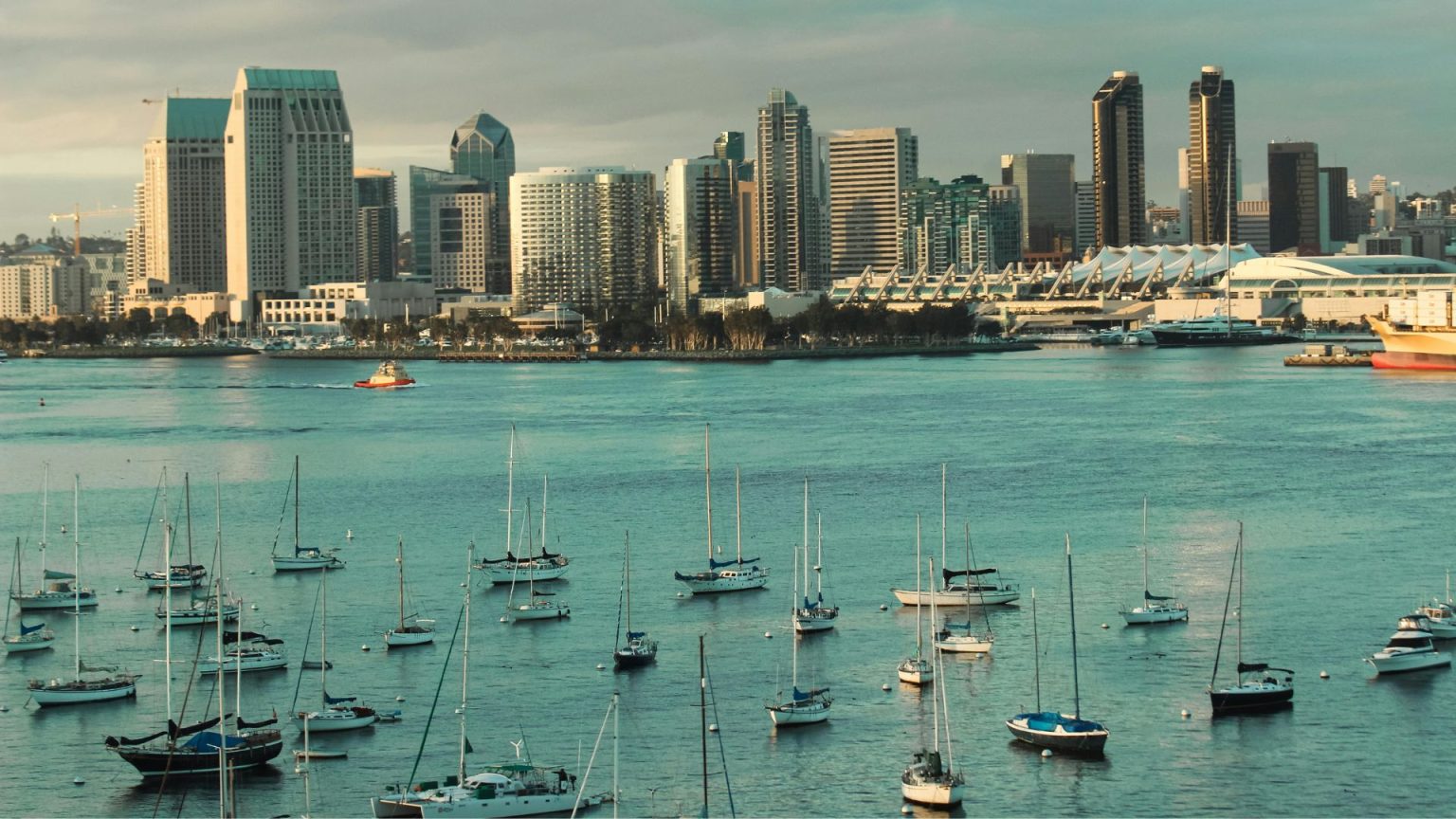 The Complete Guide to 6 Liveaboard Marinas in San Diego